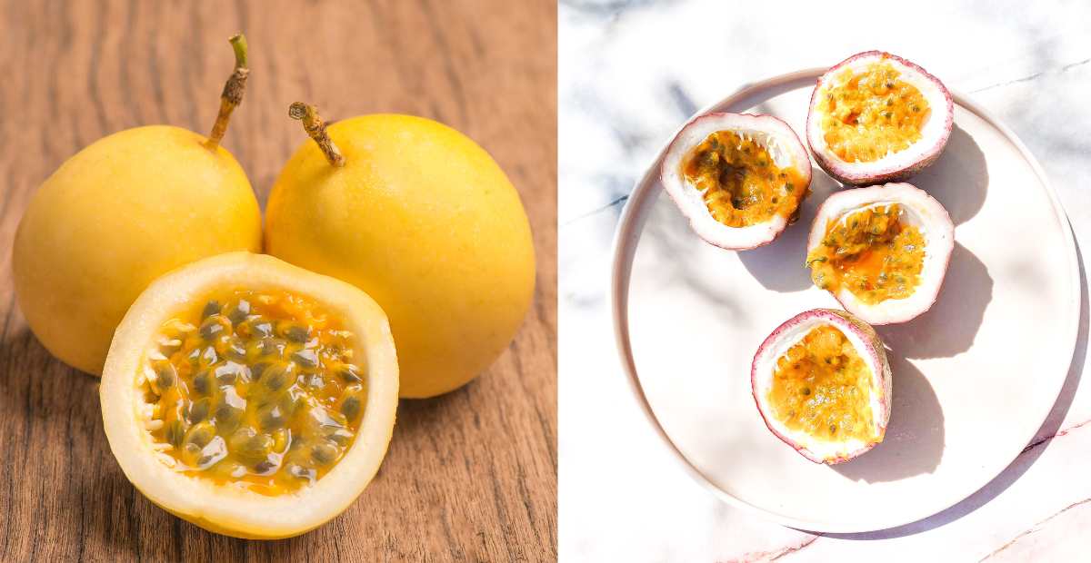 Explore The Costa Rican Fruits - The Castle Of Oz