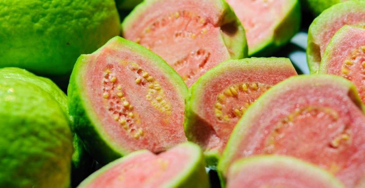 Explore The Costa Rican Fruits - The Castle Of Oz