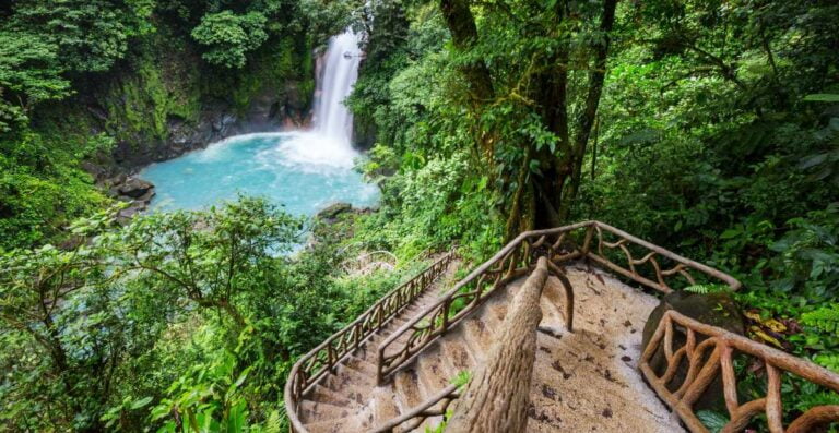 Costa Rica Biodiversity: A Global Treasure - The Castle Of Oz