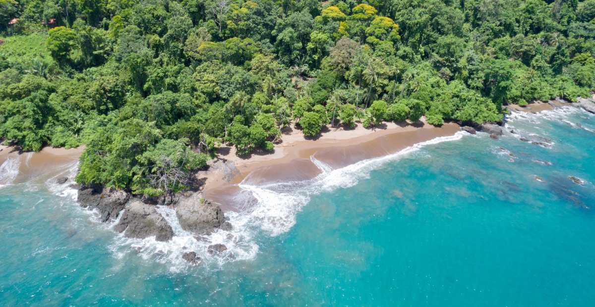 Costa Rica Biodiversity: A Global Treasure - The Castle Of Oz